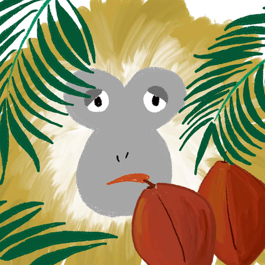 Life On Land｜Animal SDGs