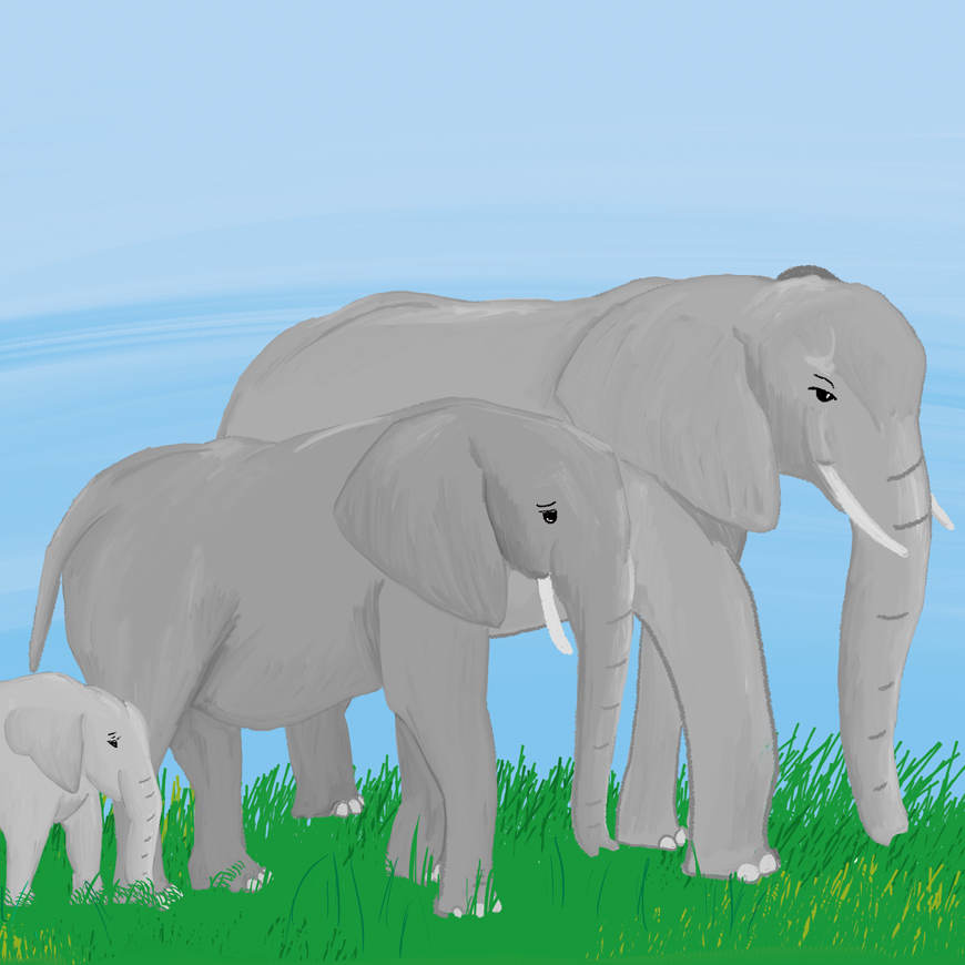 Kids As Future Generation｜Animal SDGs